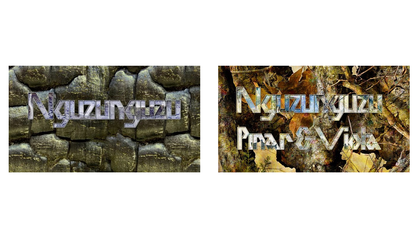 Pinar & Viola - Fonts In Use