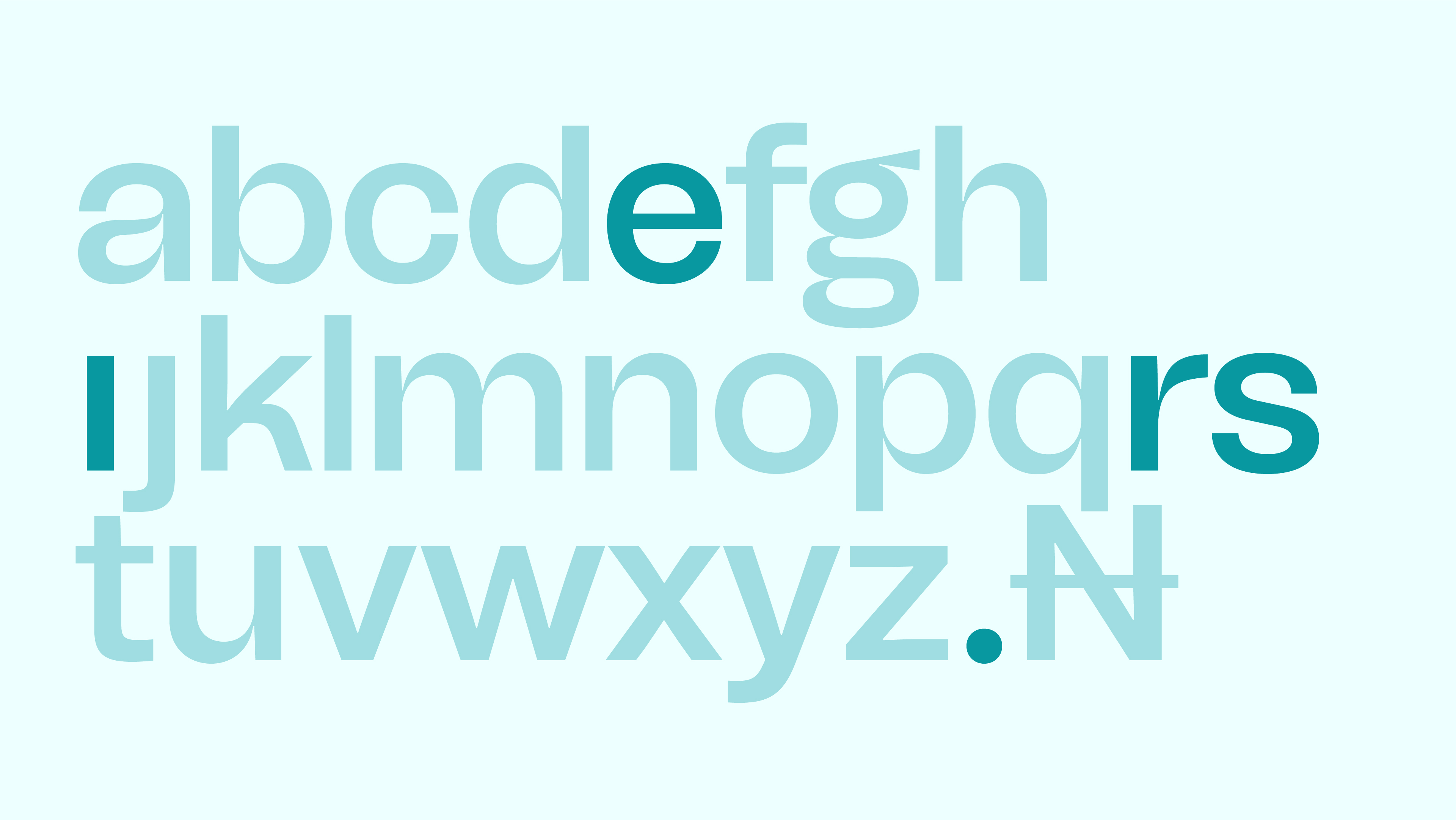 Rise visual identity - Fonts In Use