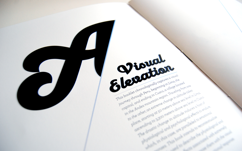 A Visual Elevation - Fonts In Use