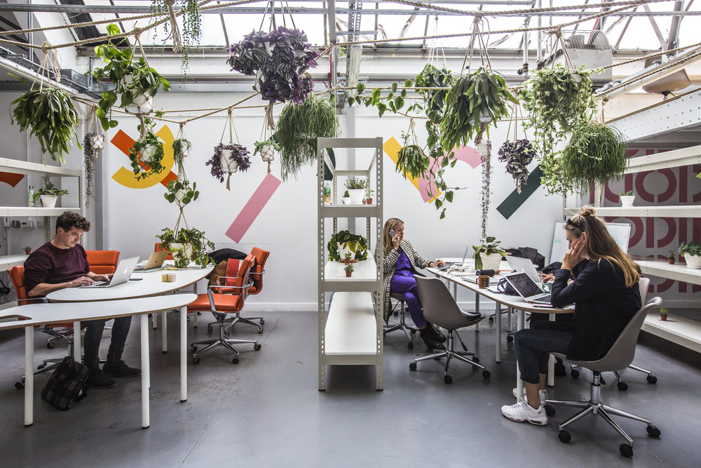 Karma Kitchen - Fonts In Use