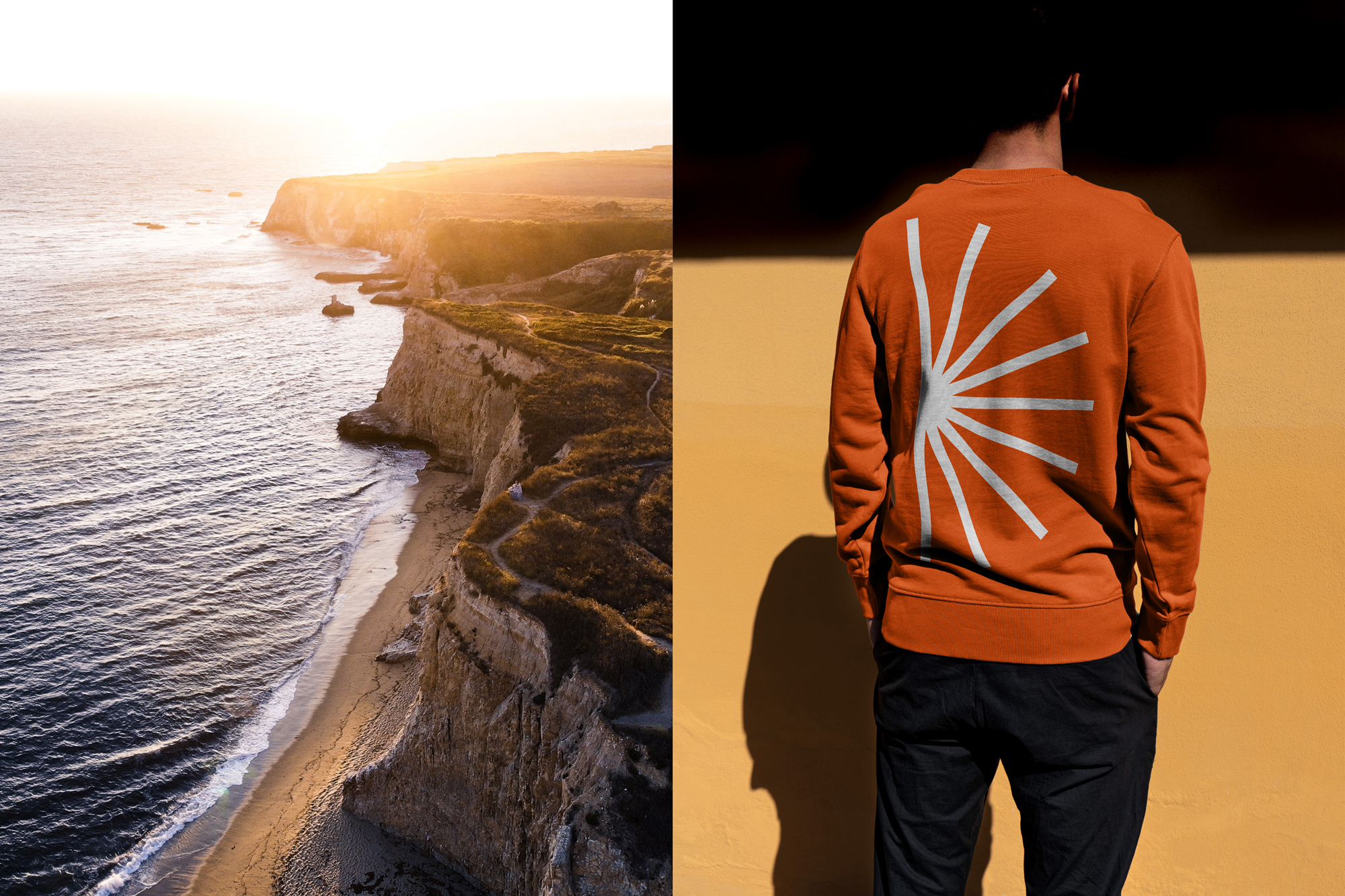 Design Bay Area - Fonts In Use