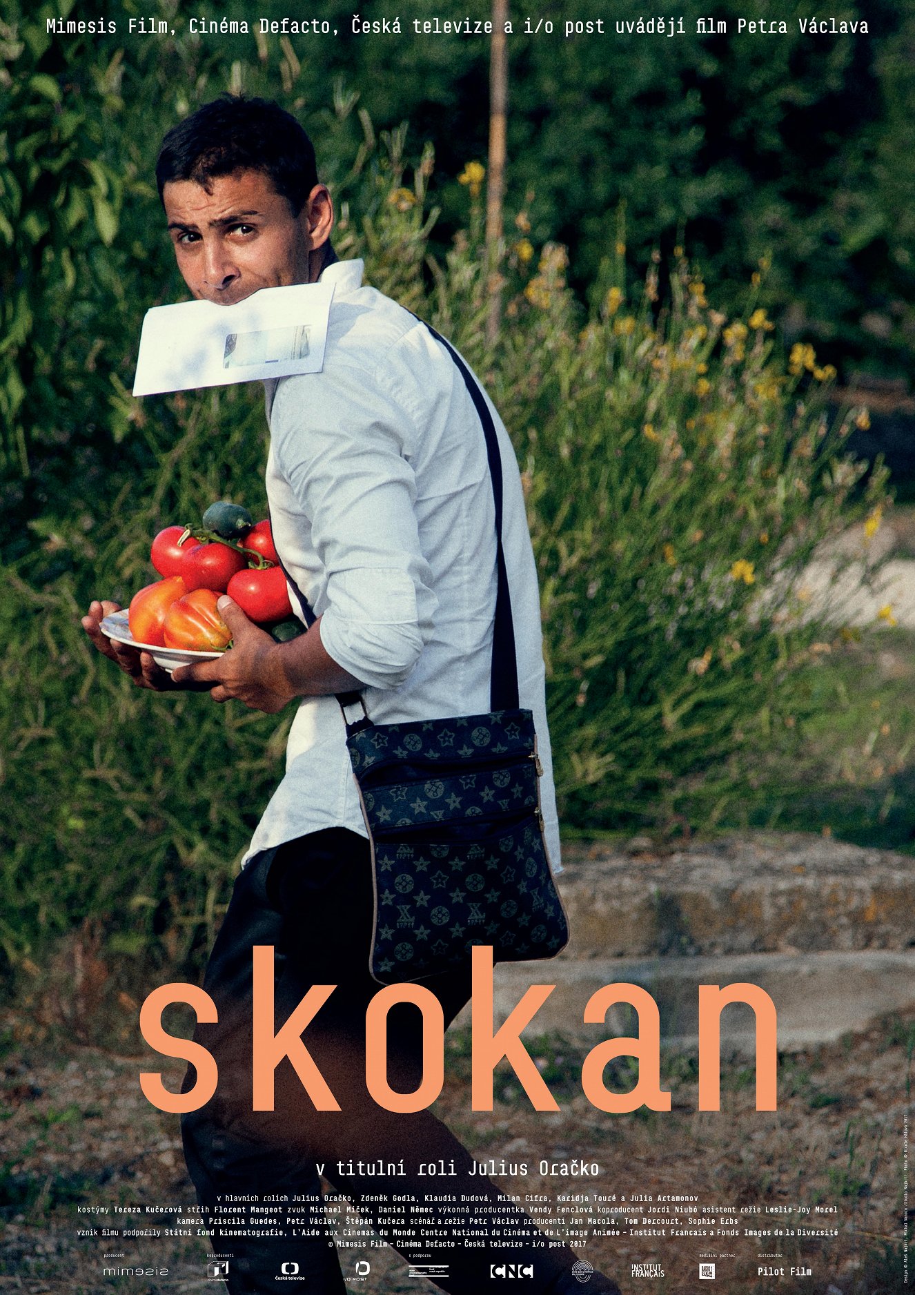 Skokan movie poster - Fonts In Use
