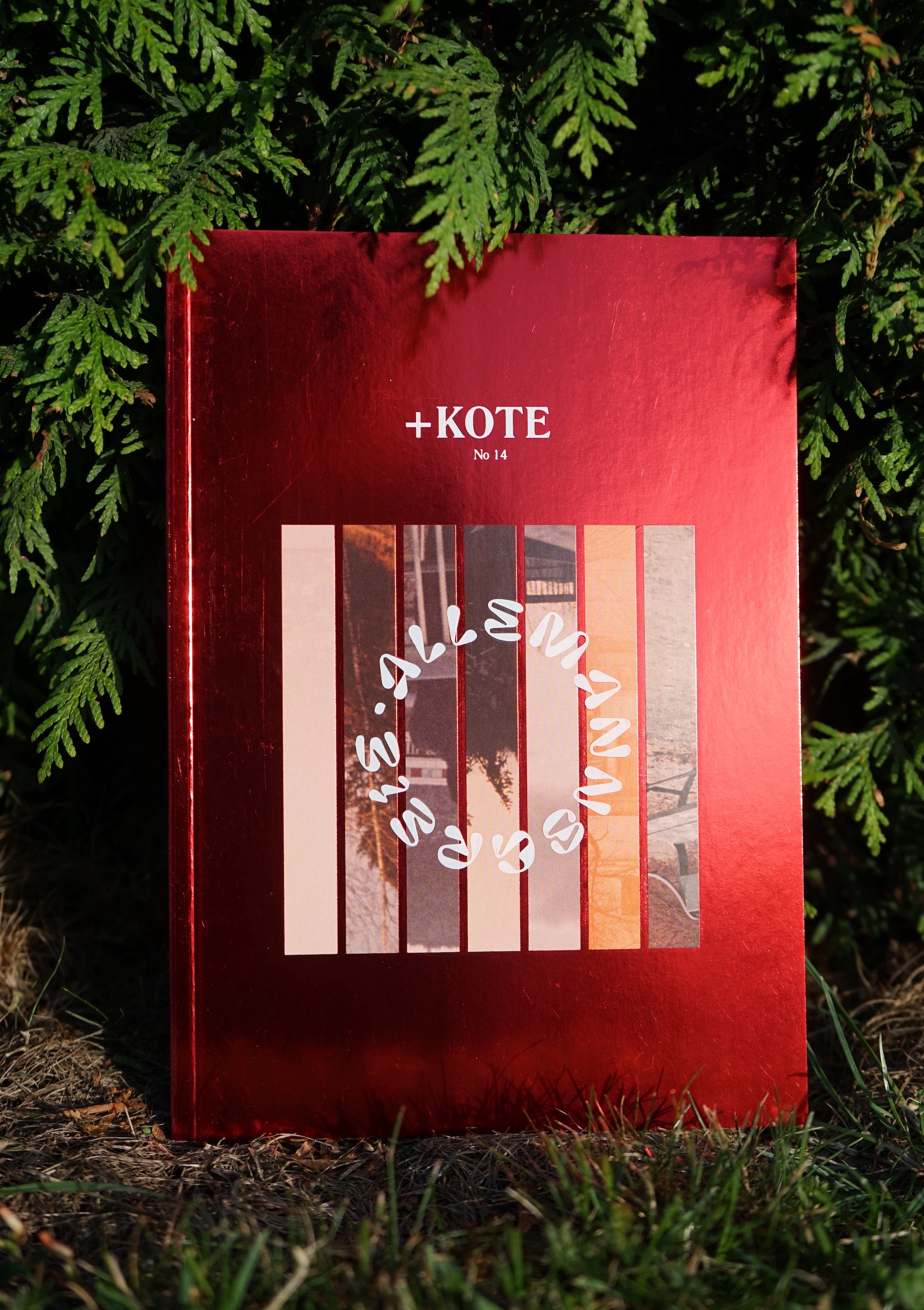 +Kote No. 14, “Allemannsgreie” - Fonts In Use