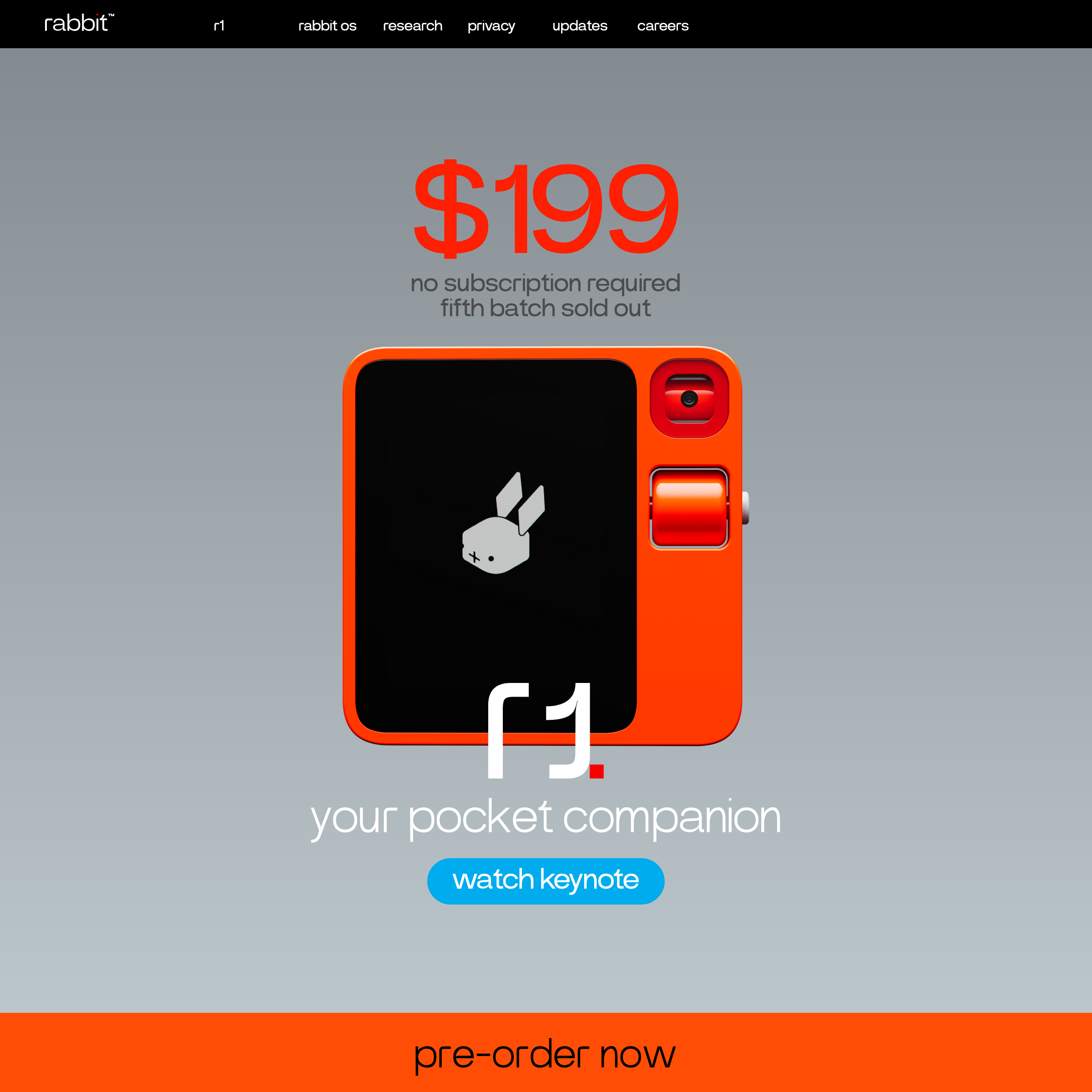 Rabbit R1 - Fonts In Use