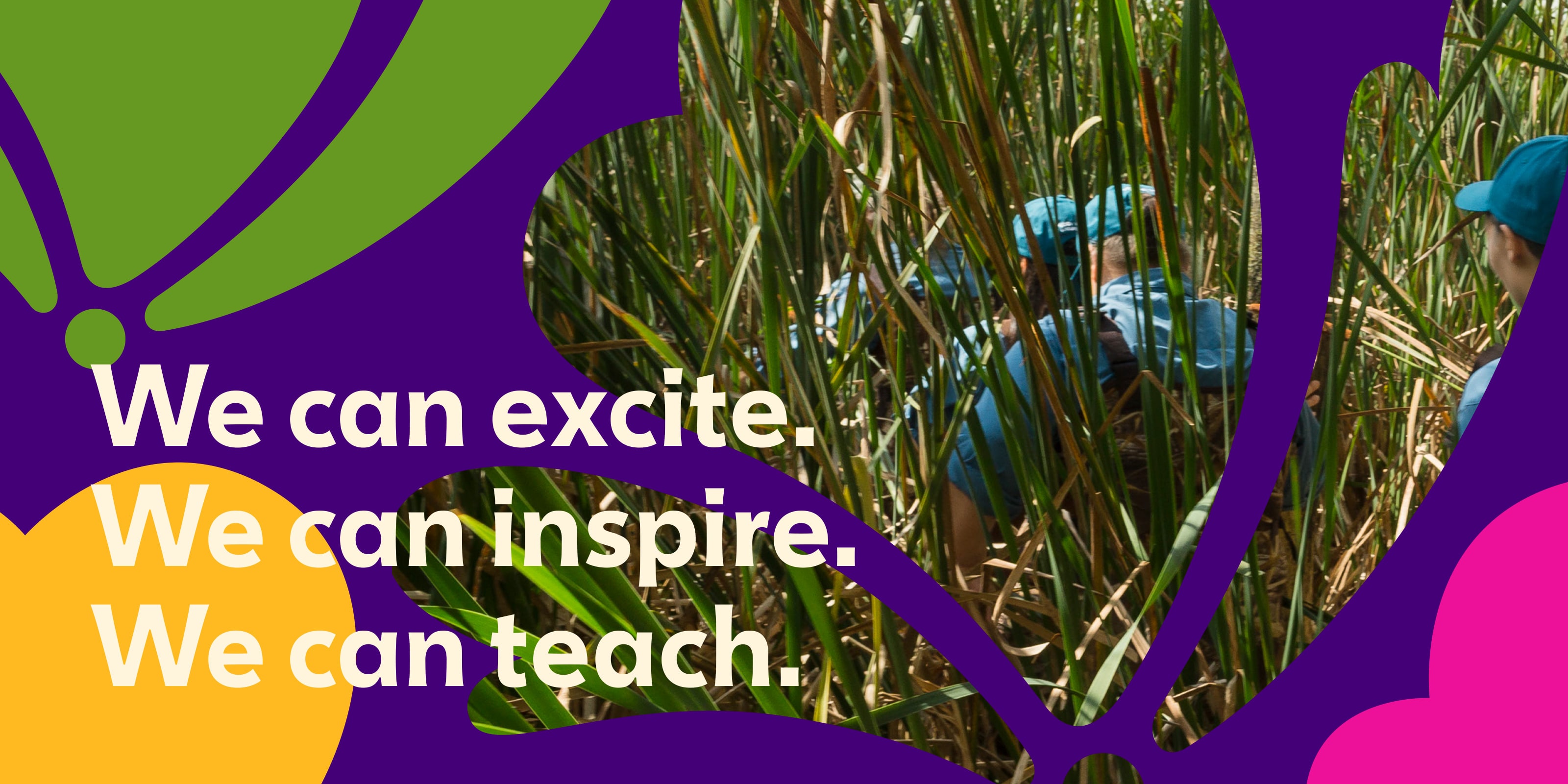 Nature Museum visual identity - Fonts In Use