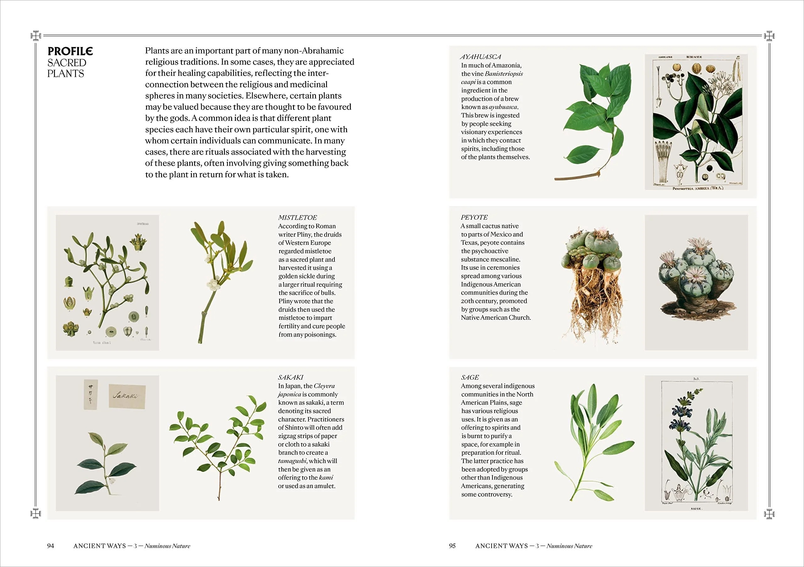 Pagans: The Visual Culture of Pagan Myths, Legends and Rituals by Ethan ...