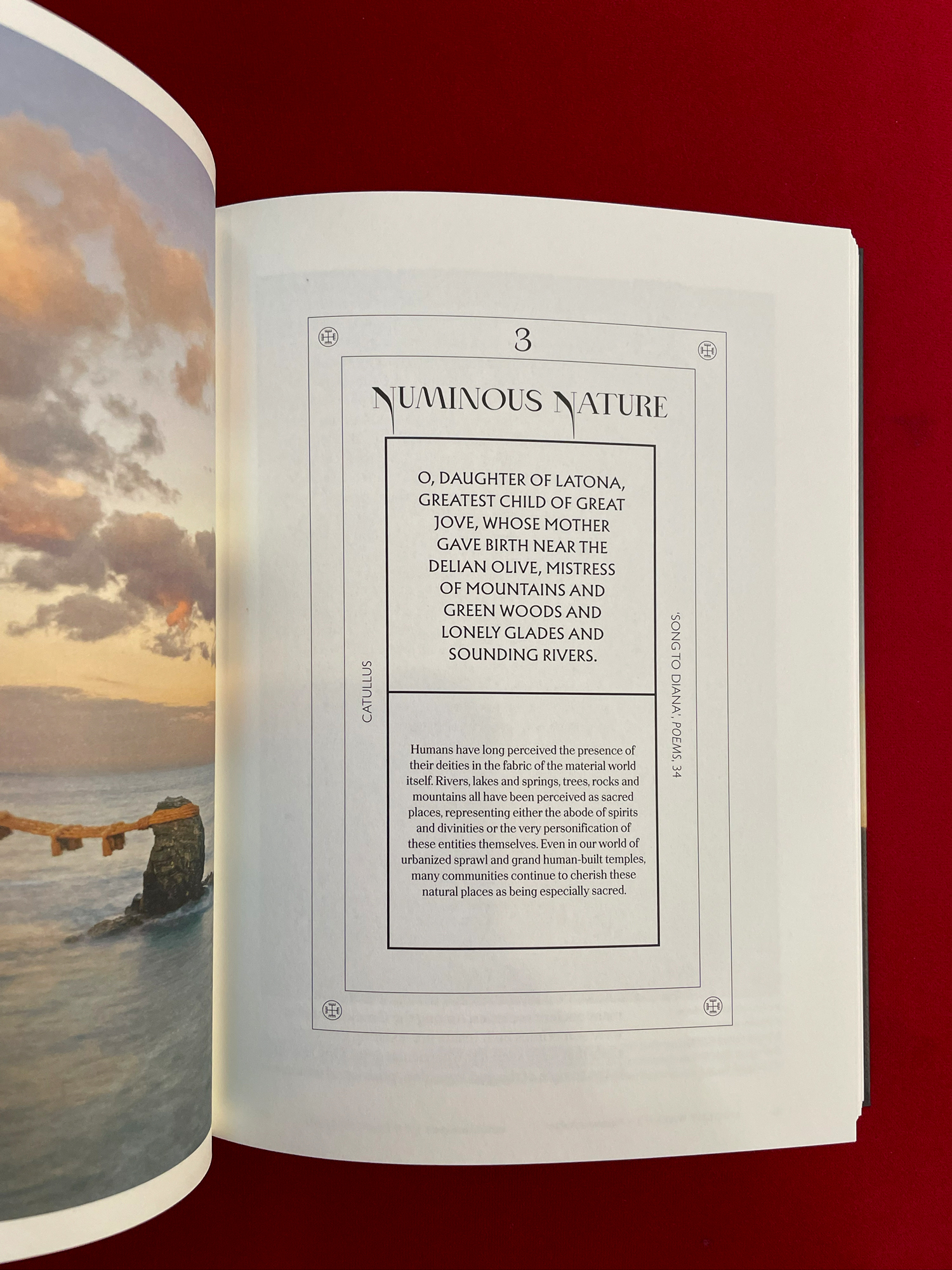 Pagans: The Visual Culture of Pagan Myths, Legends and Rituals by Ethan ...