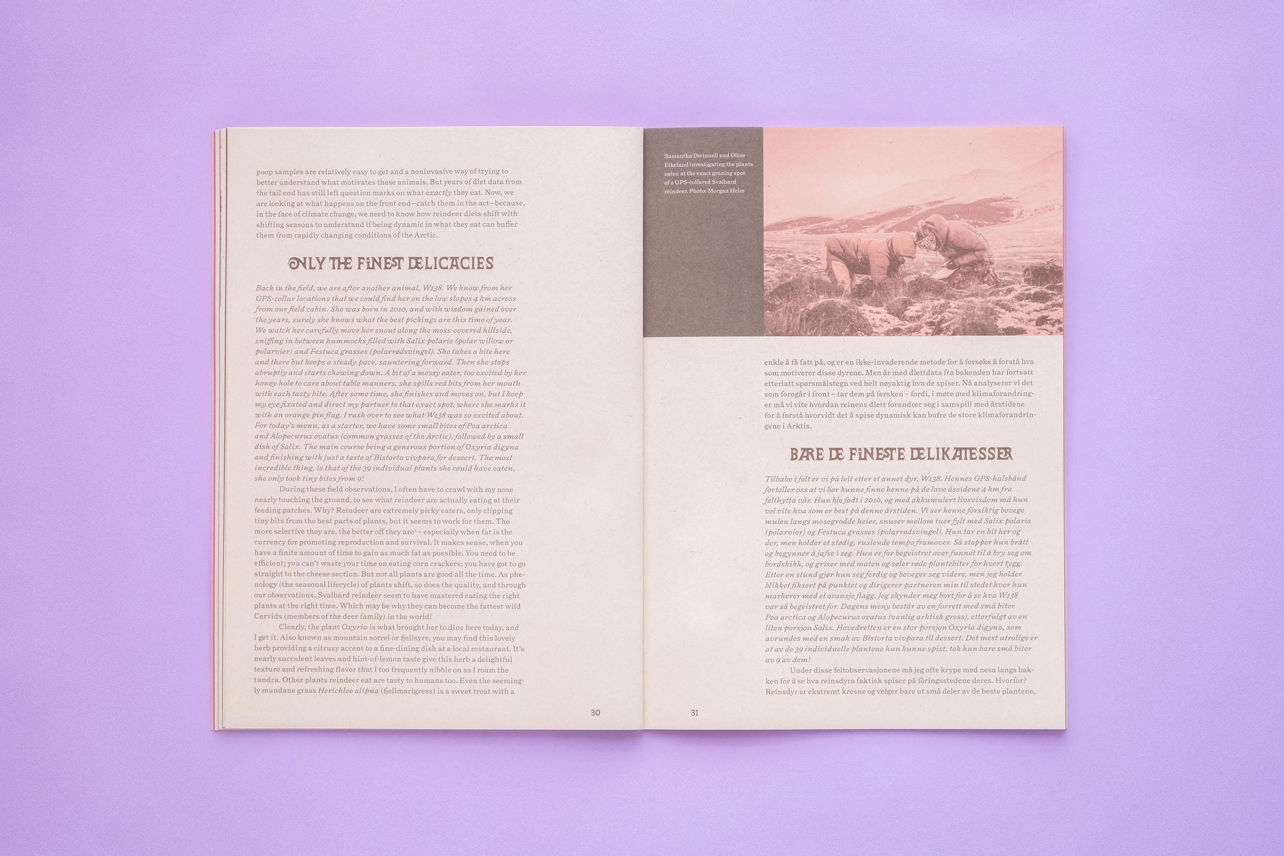 Food on Svalbard - Fonts In Use