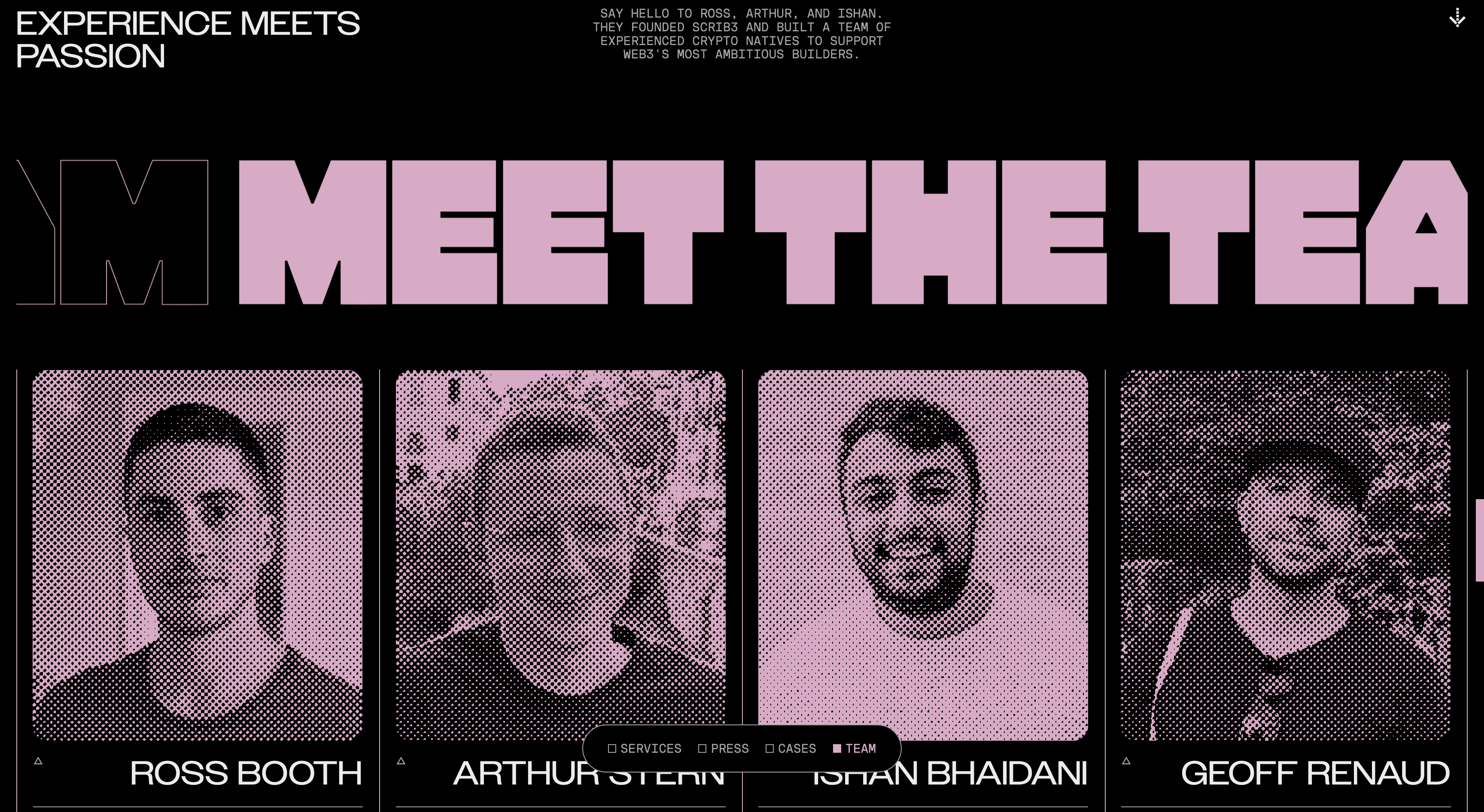 SCRIB3 website - Fonts In Use