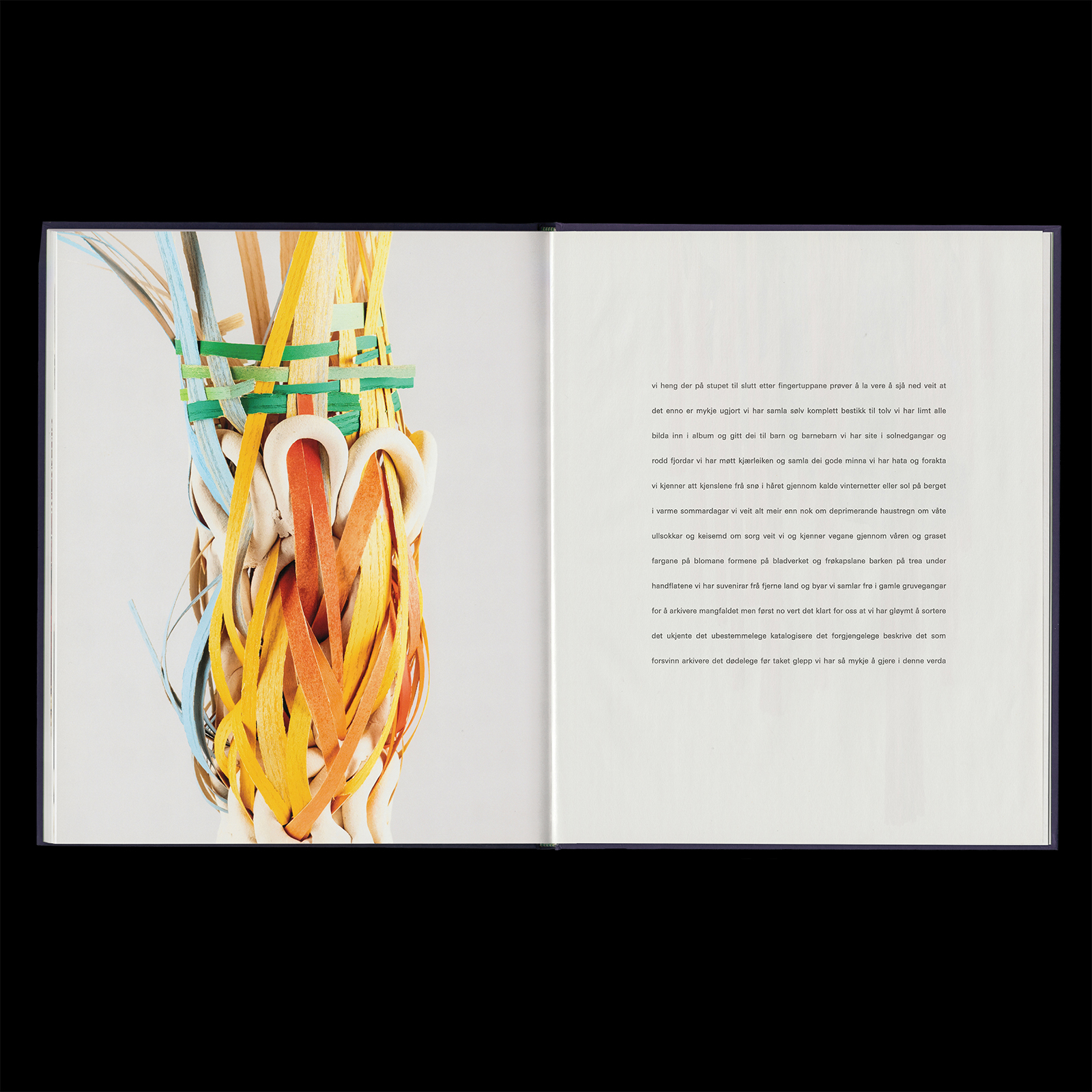 Kari Aasen monograph - Fonts In Use