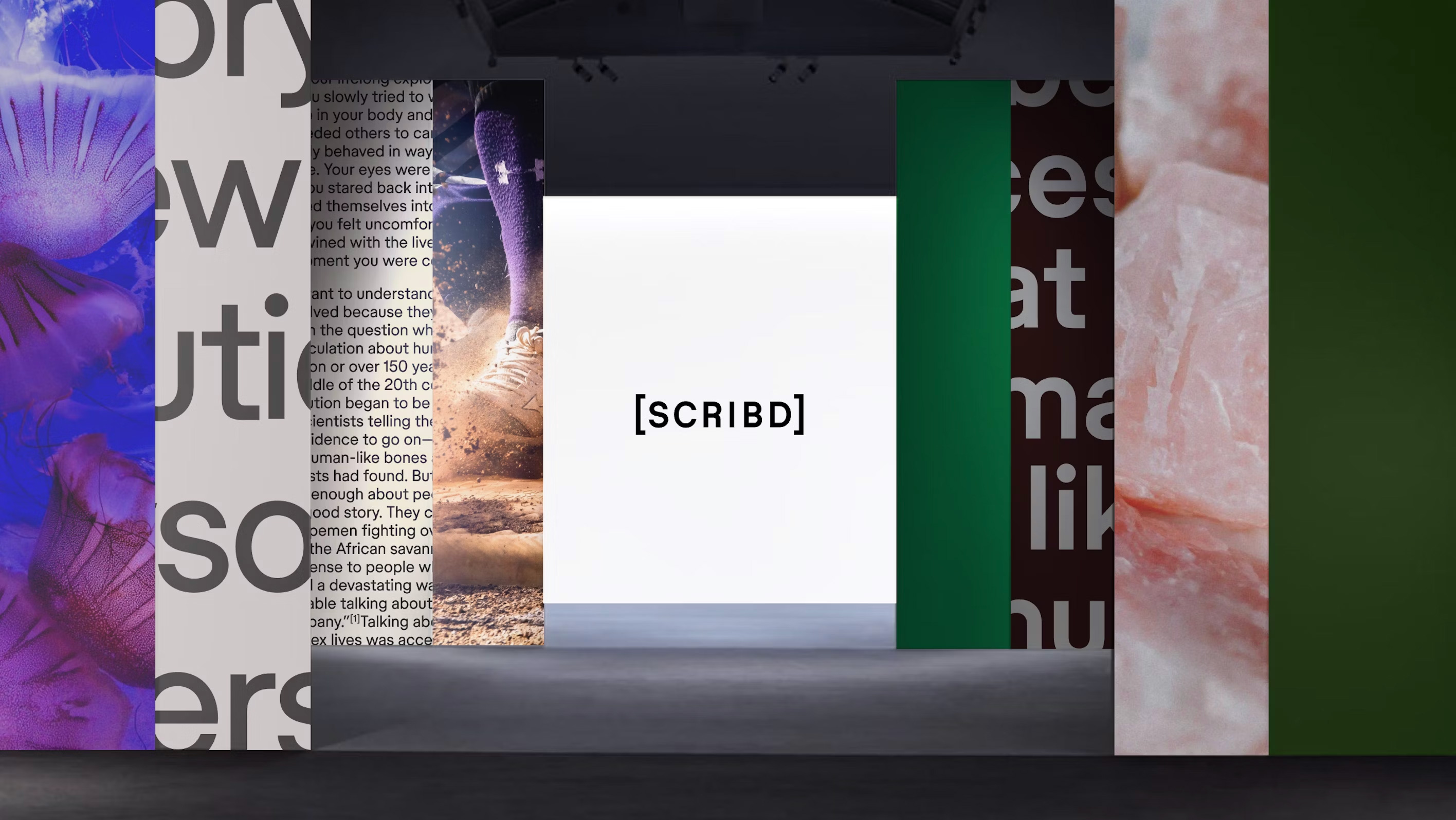 Scribd rebrand - Fonts In Use