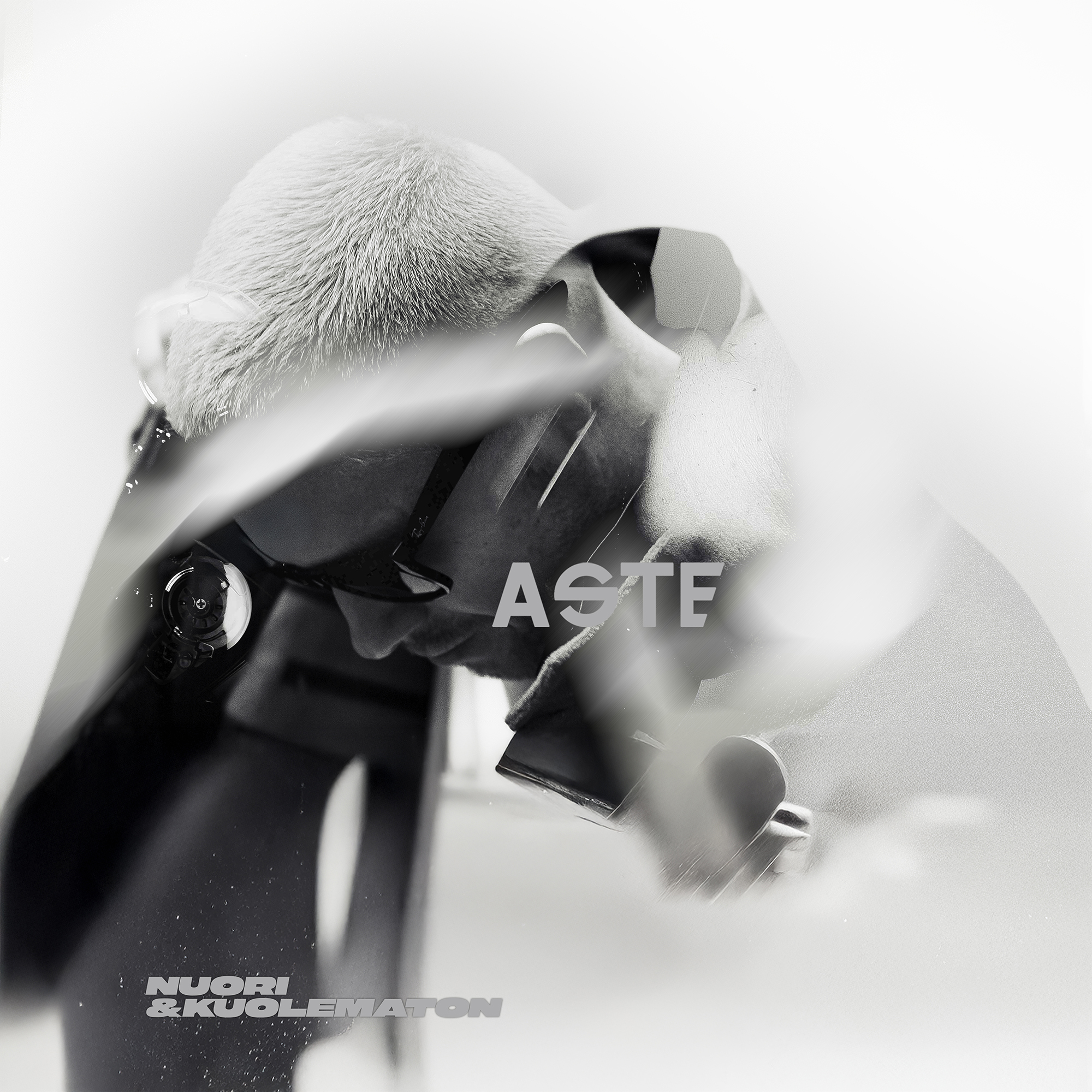 Aste – Nuori & Kuolematon album art and identity - Fonts In Use