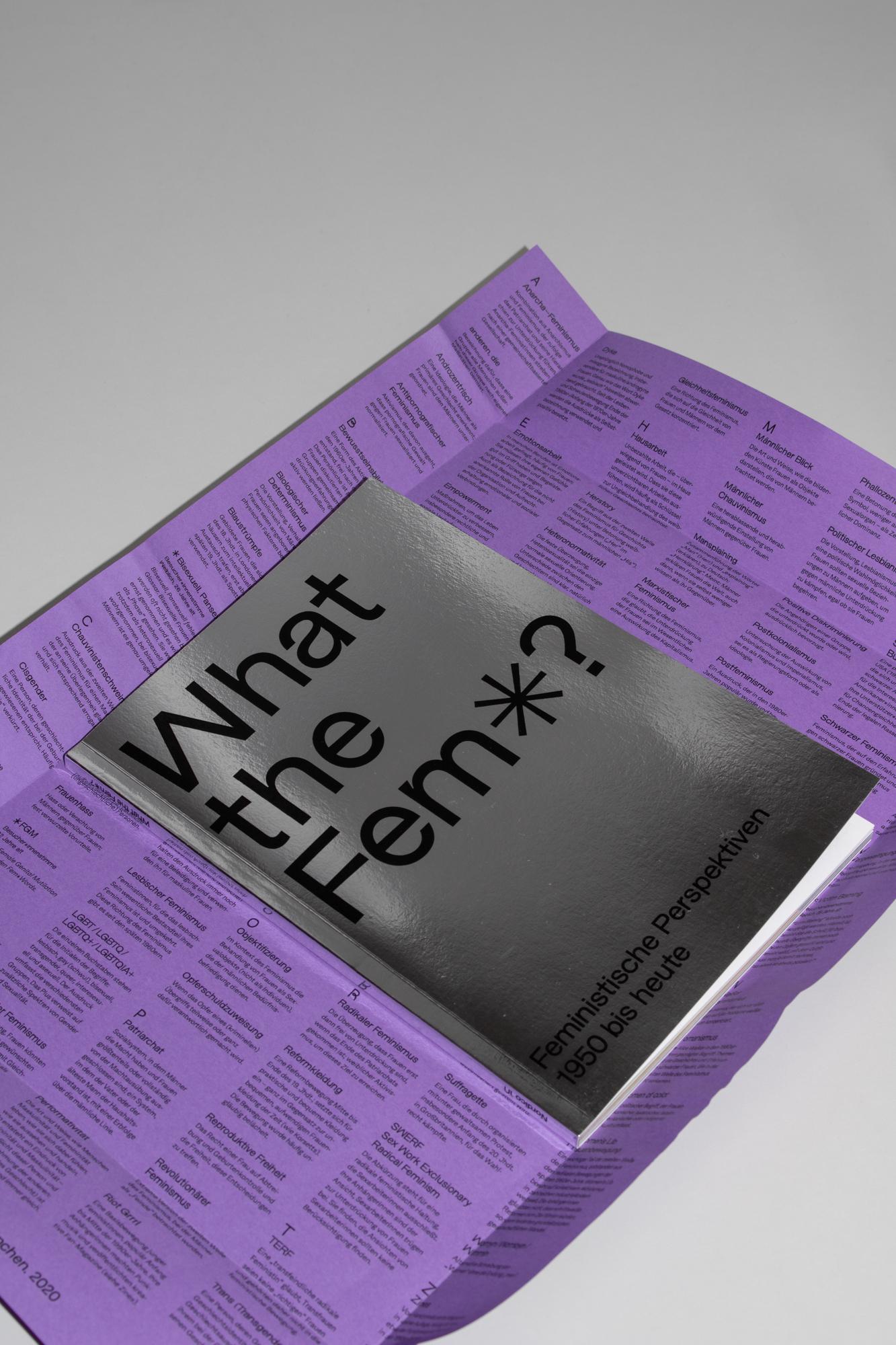 What the Fem ︎? Feminist Perspectives from 1950 to the Present ...