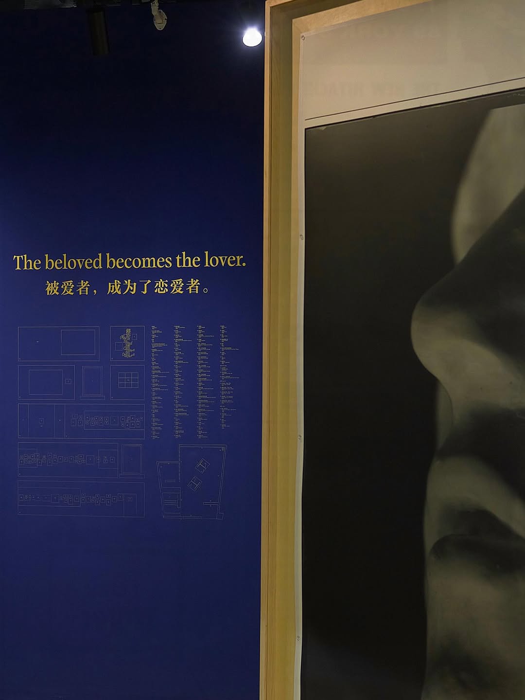 Murse & Camera Obscura - Fonts In Use