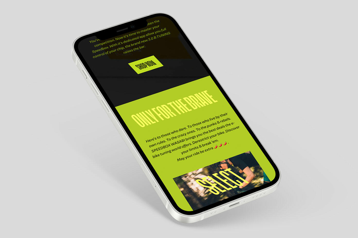 SpeedBox Wasabi - Fonts In Use