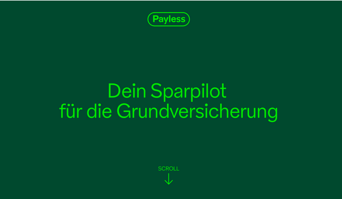Payless - Fonts In Use