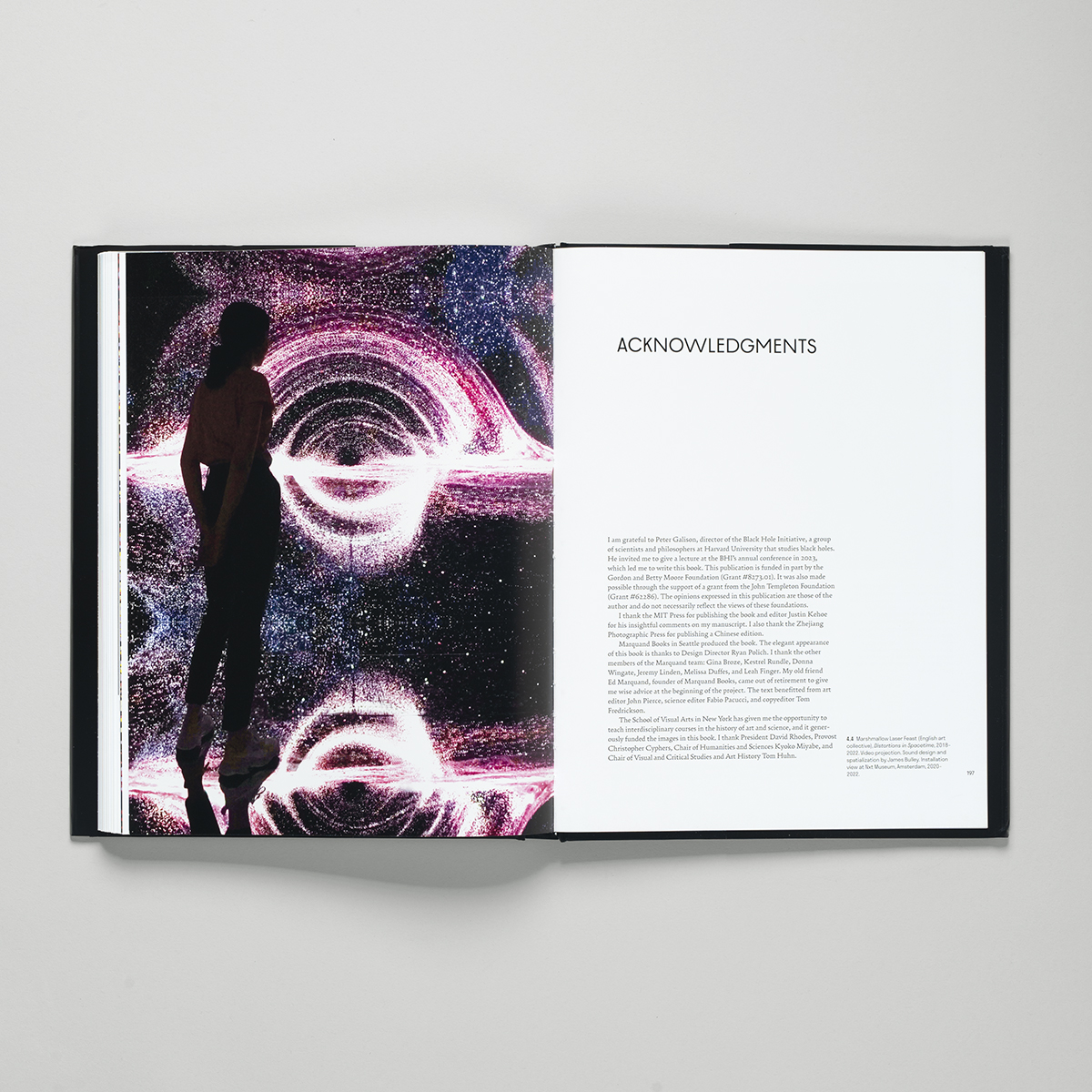 Conjuring the Void. The Art of Black Holes by Lynn Gamwell - Fonts In Use