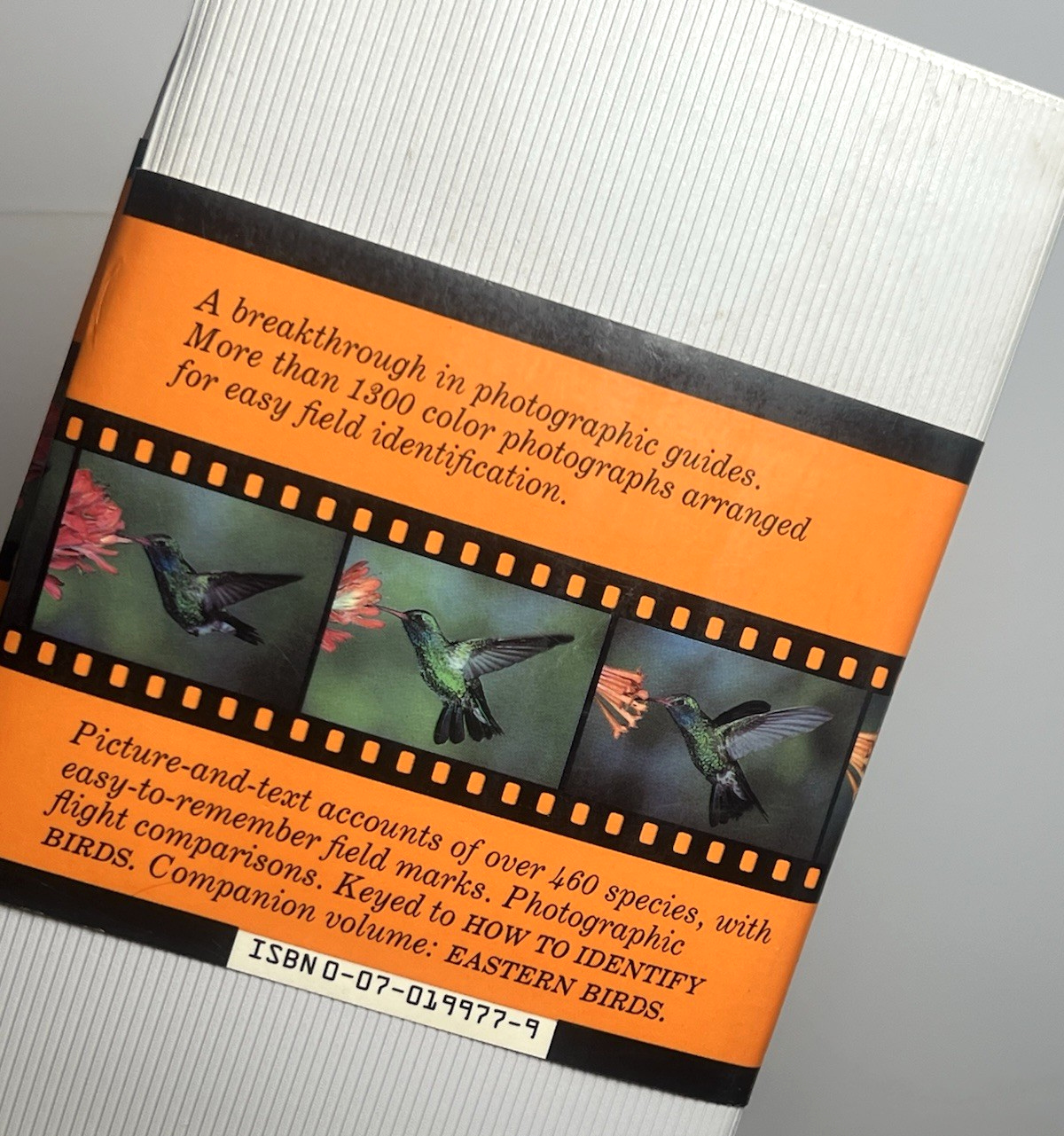 Western Birds. An Audubon Handbook by John Farrand Jr. - Fonts In Use