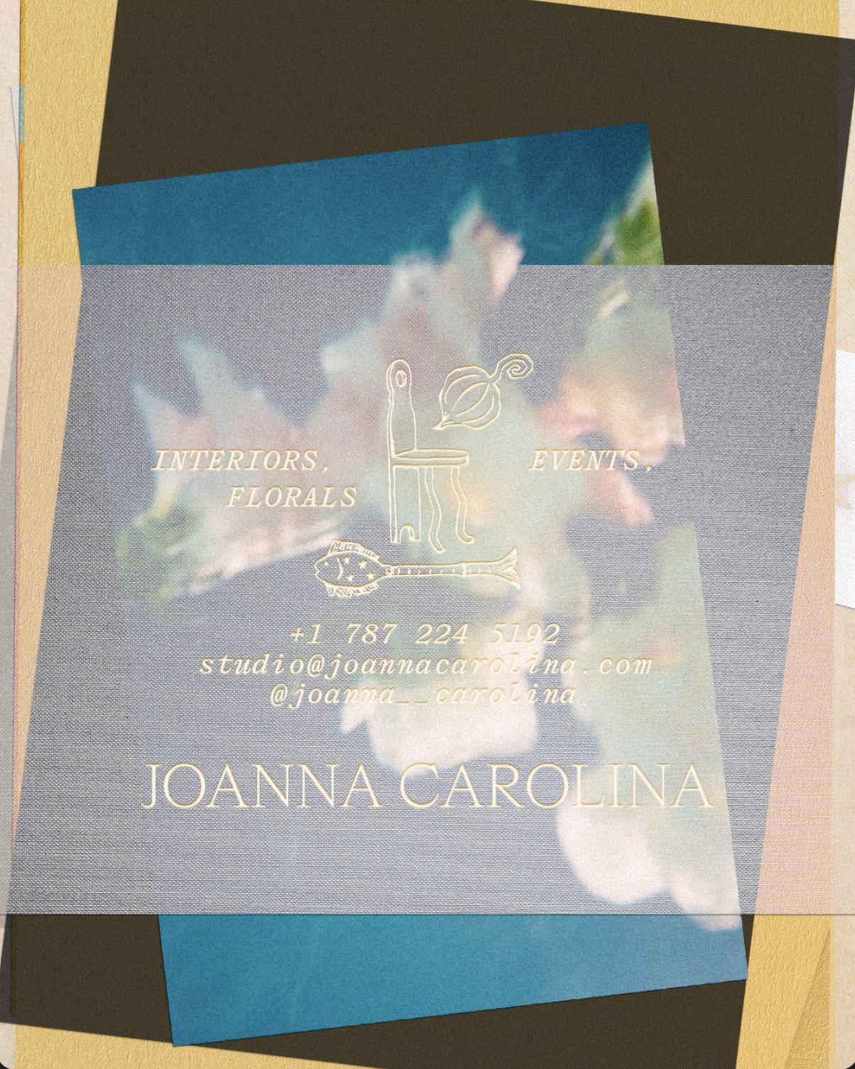 Joanna Carolina identity - Fonts In Use